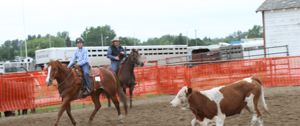 SAASE - Saskatchewan Association of Agricultural Societies and Exhibitions